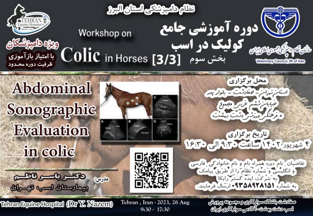Workshop on: Abdominal sonographic evaluation in Colic – Tehran Equine Hospital