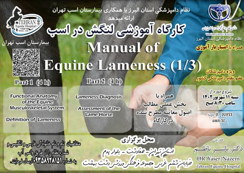 Workshop on: Manual of Equine Lameness (Part 2) – Tehran Equine Hospital